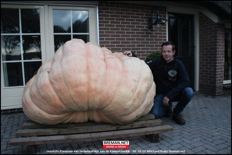 Zeedieker Bart Jan van Raalte heeft de grootste pompoen van Nederland